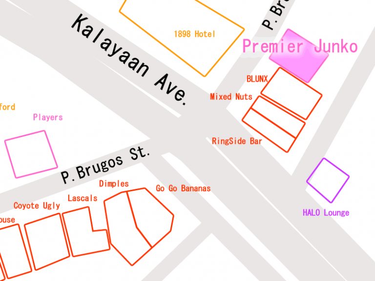 【夜遊び】マニラの高級KTV『プレミア順子』 マカティエリア